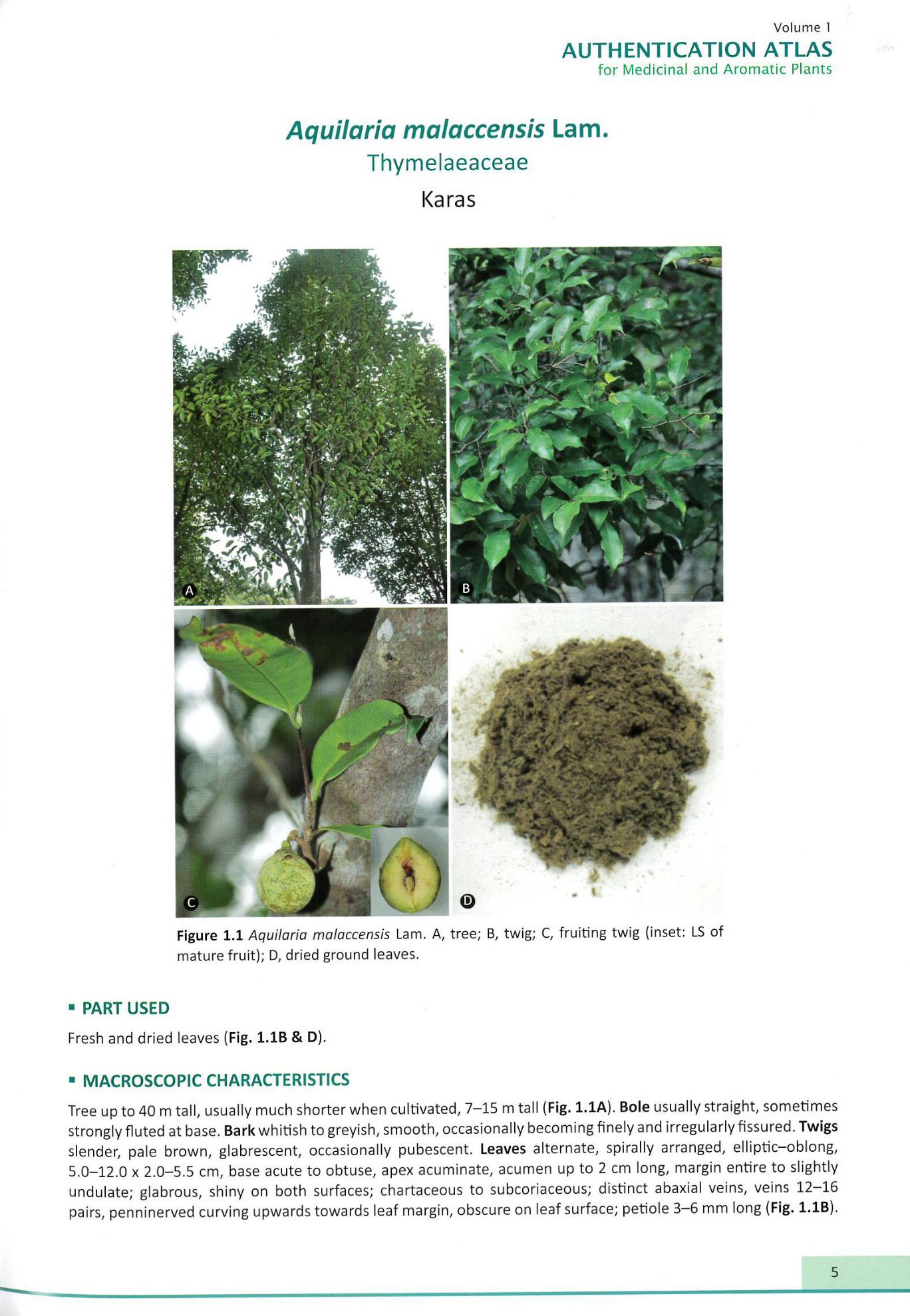 FRIM Digital Shop. Authentication Atlas for Medicine and Aromatic ...